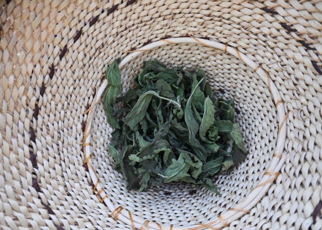 Celebrating Indigenous Foods at the First Nevada Tribal Foods Summit ...